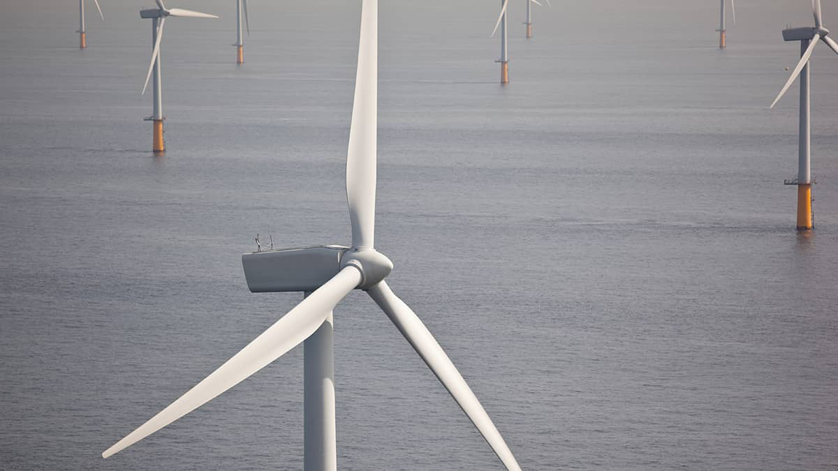 Government Urged to Work with Industry to Create Offshore Wind Jobs ...