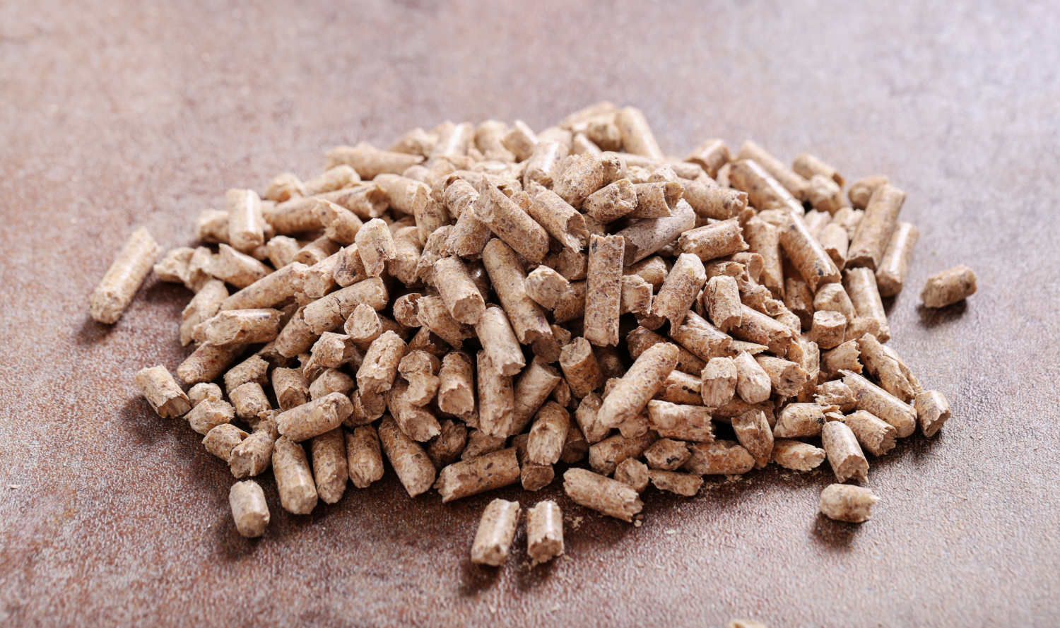 Webinar: Pellet Plants in Developing Economies - New Energy Innovation